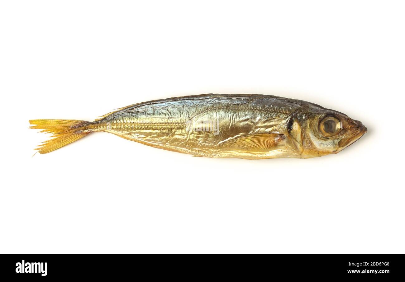 Smoked herring kipper isolated hi-res stock photography and images - Alamy