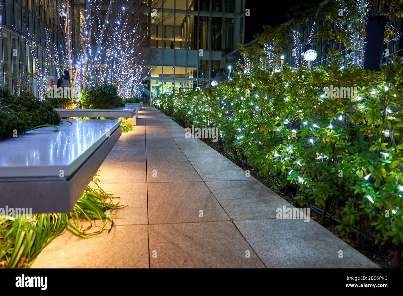 Bench in the park decorated by various lights Stock Photo - Alamy