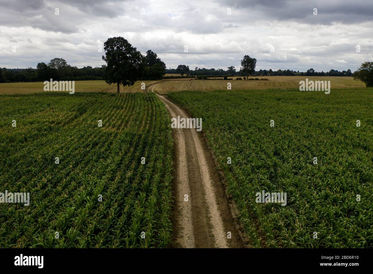 Piencourt, Normandy, France. Aerial view of green fields with a dirt ...