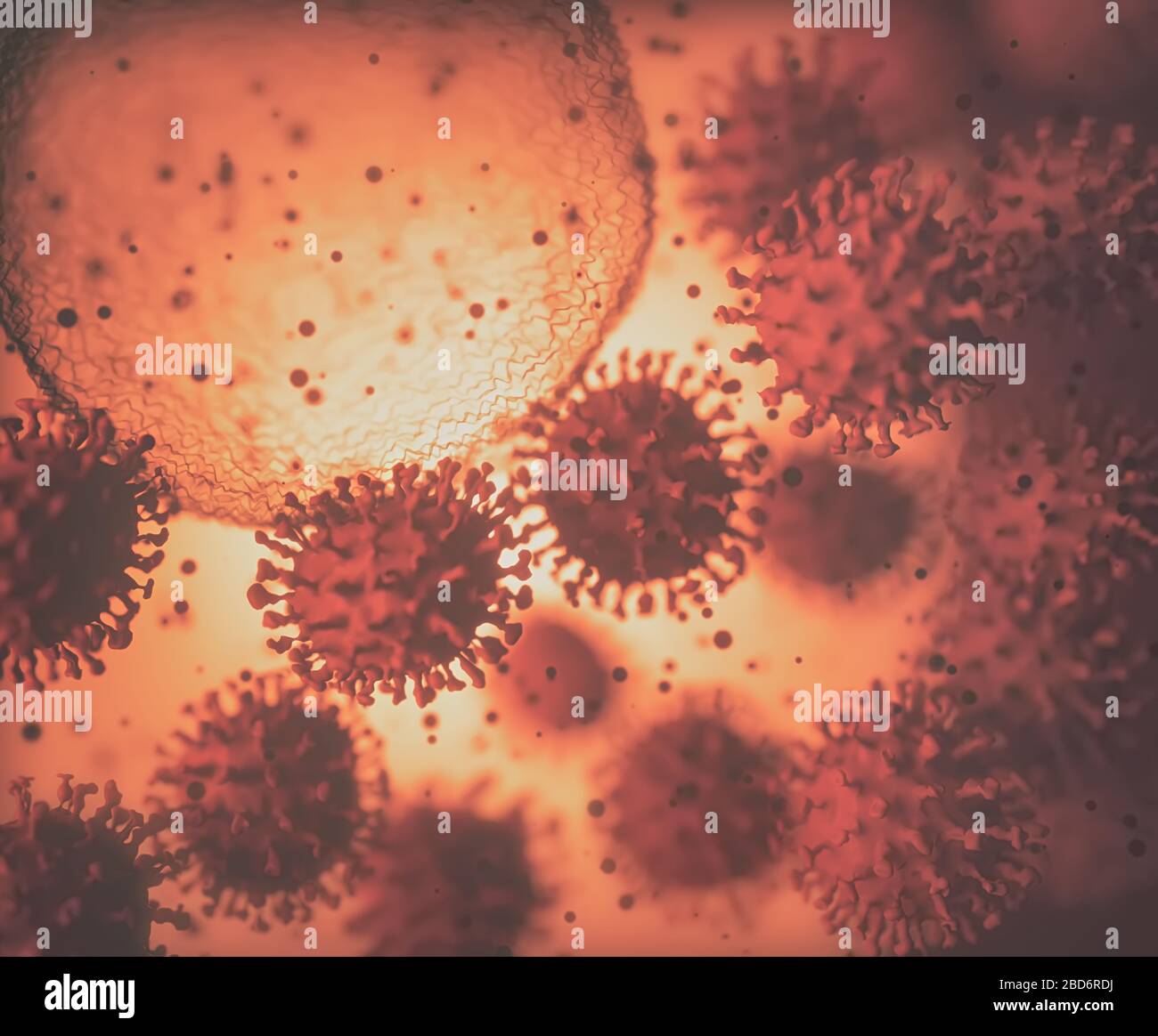 Viral structure. Viral particle is made up of a nucleus of nucleic acid ...