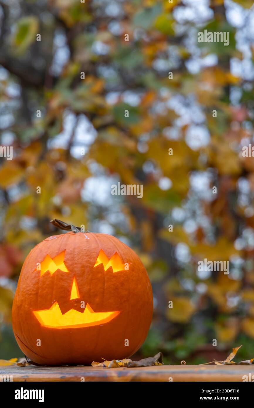 halloween pumpkin, autumn still life Stock Photo - Alamy