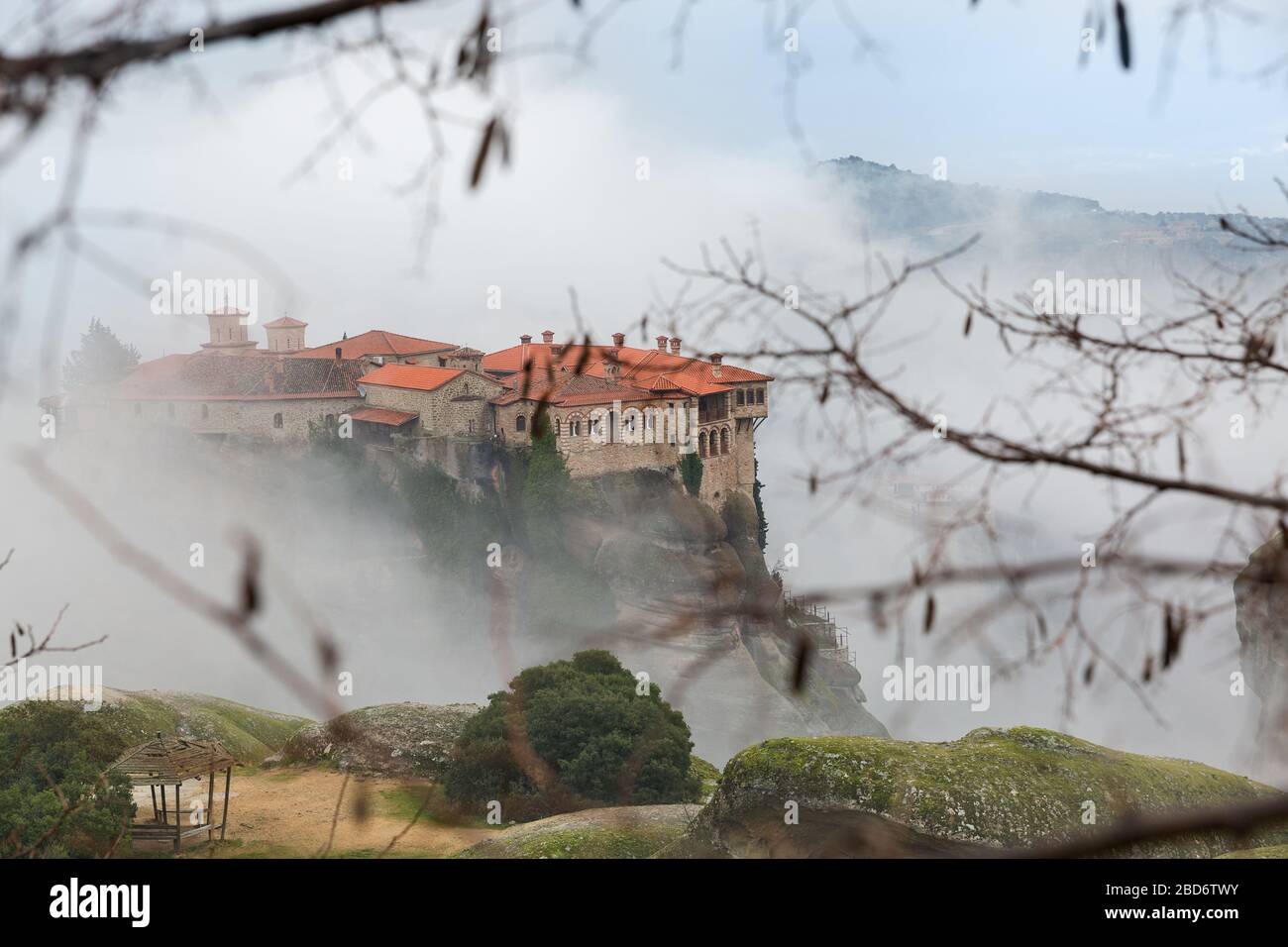 Monasteries and old trees hi-res stock photography and images - Alamy