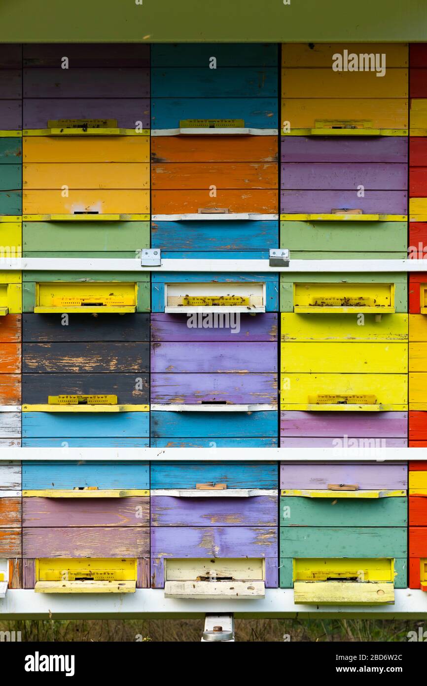 Beehive apiculture slovenia hi-res stock photography and images - Alamy