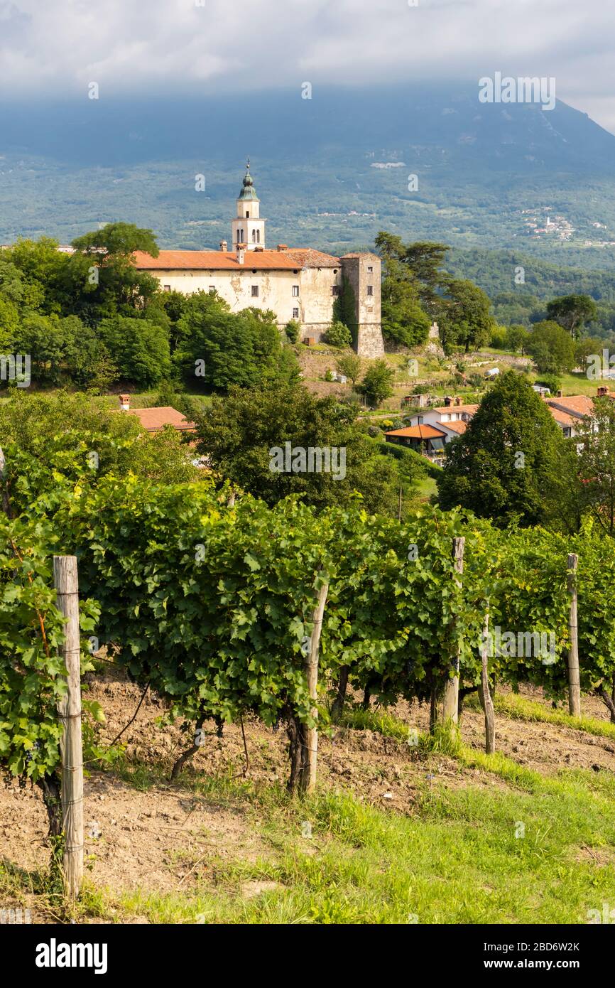 Vipava valley wine hi-res stock photography and images - Alamy