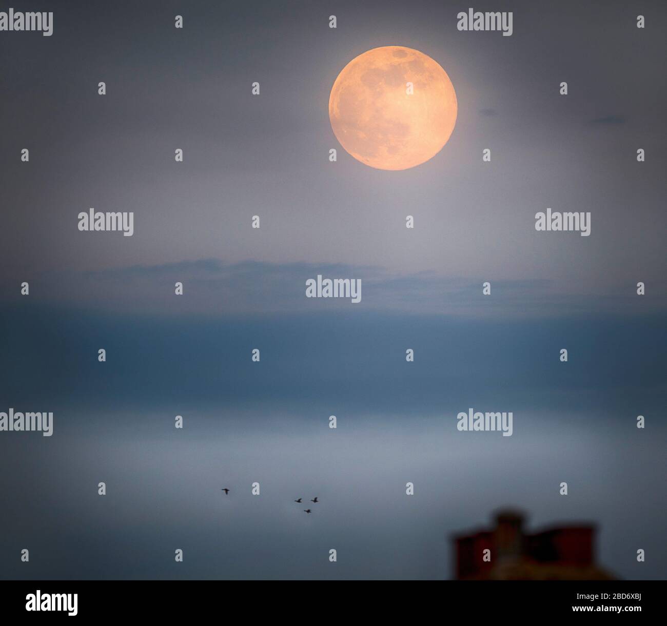 7th april hi-res stock photography and images - Alamy