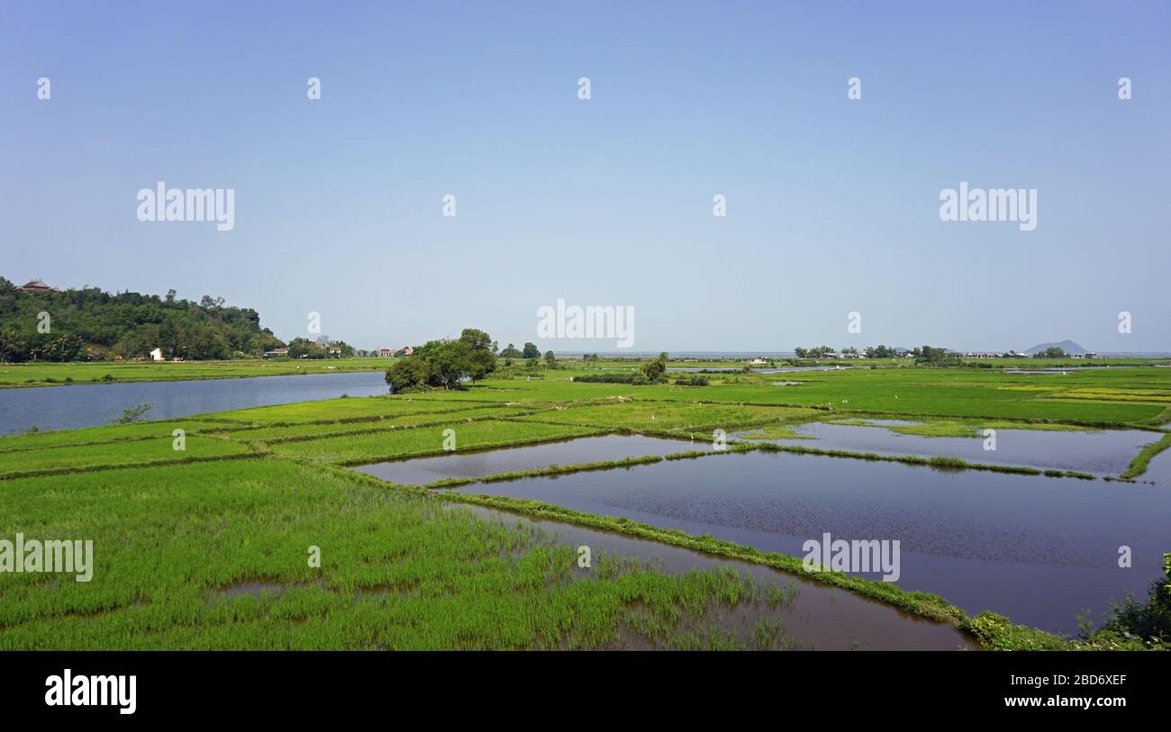 Rural landscape rice fields large hi-res stock photography and images ...