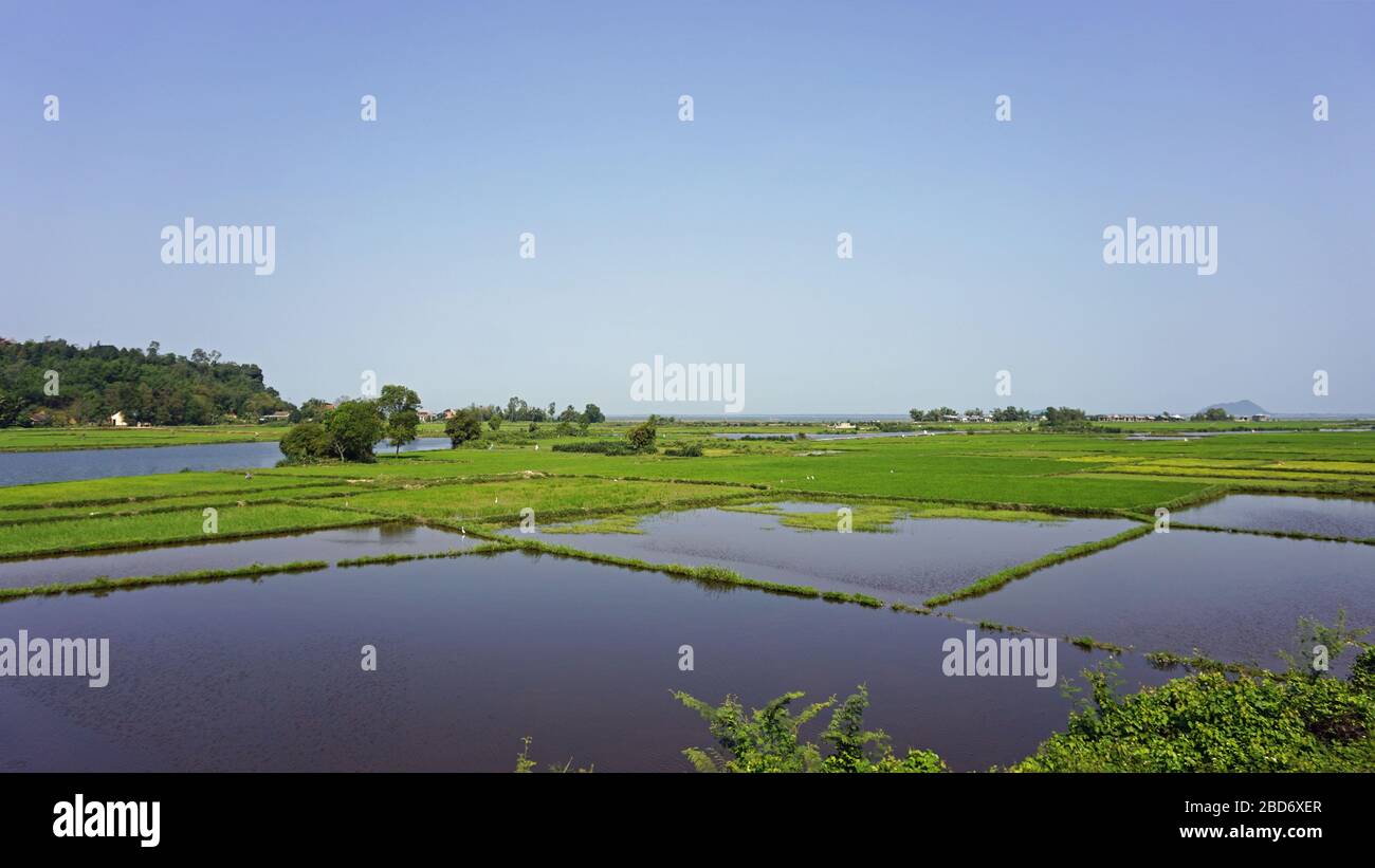 Rural landscape rice fields large hi-res stock photography and images ...