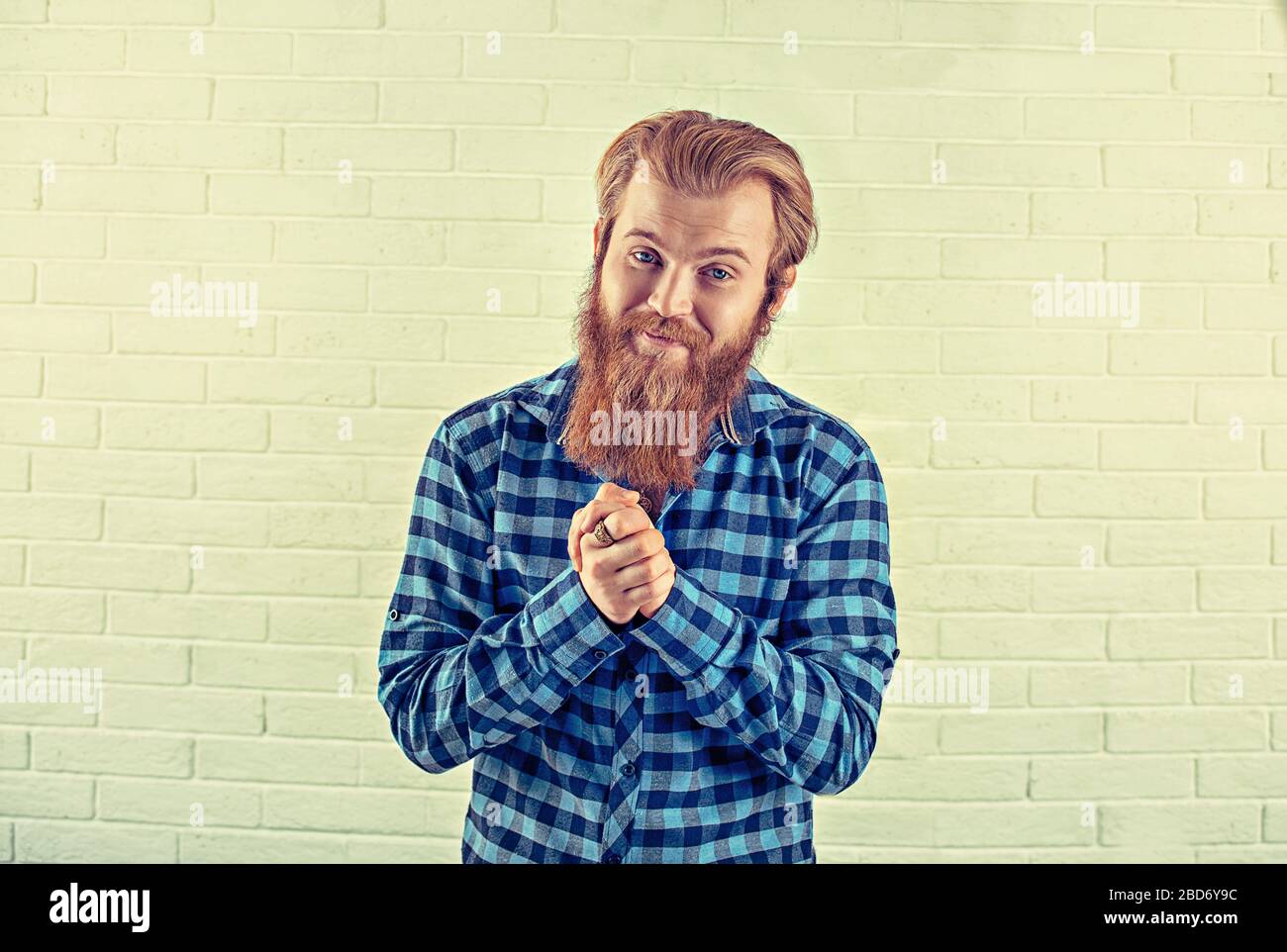 Portrait of a bearded guy laughing smiling funny casual blue shirt man ...