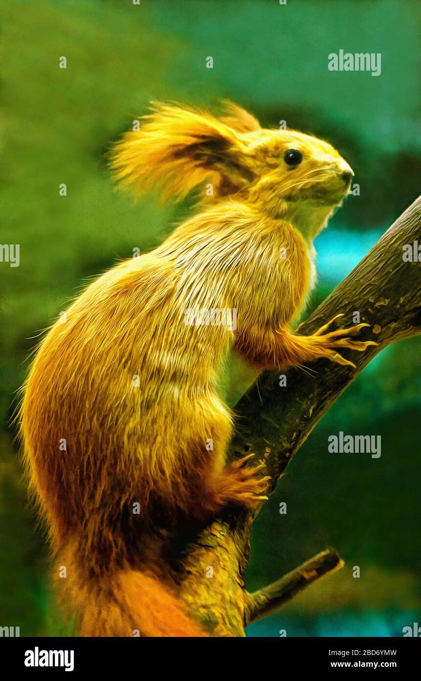 Ukrainian squirrel image hi-res stock photography and images - Alamy