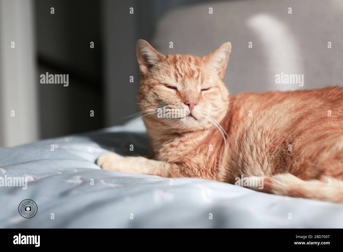 Happy face ginger hi-res stock photography and images - Alamy