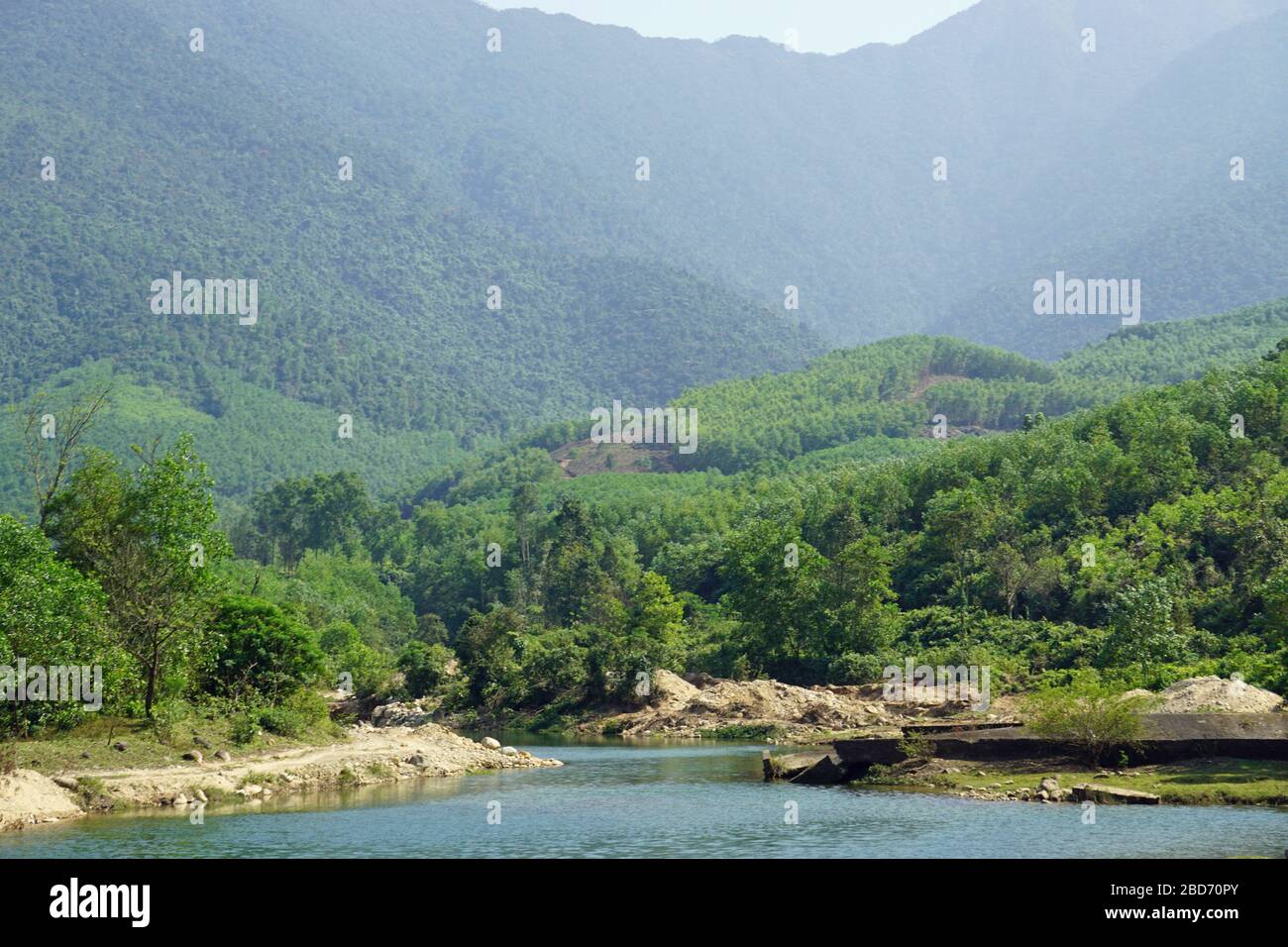 landscape in the bach ma national park in vietnam Stock Photo - Alamy