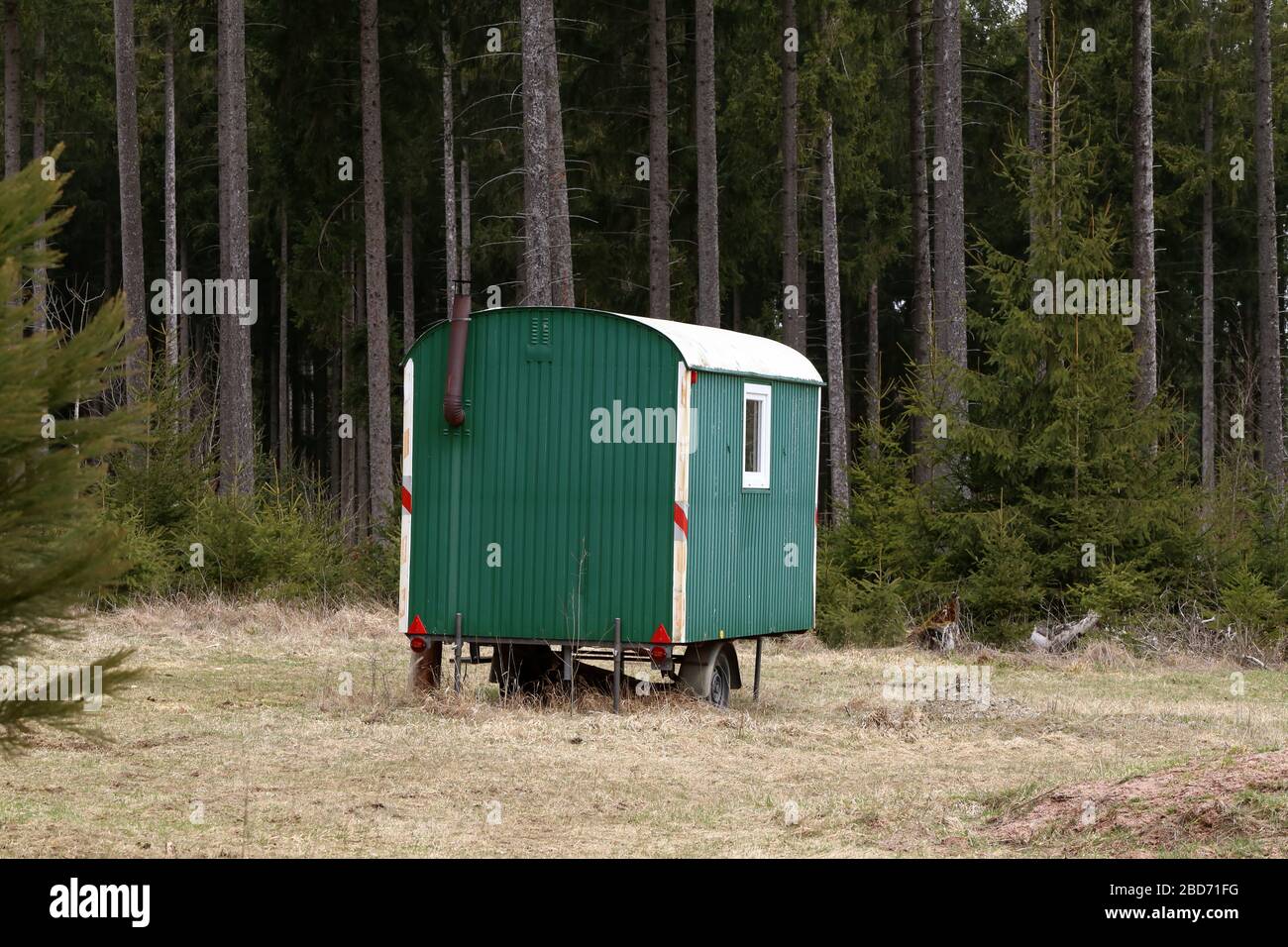 Canada blue joint hi-res stock photography and images - Alamy