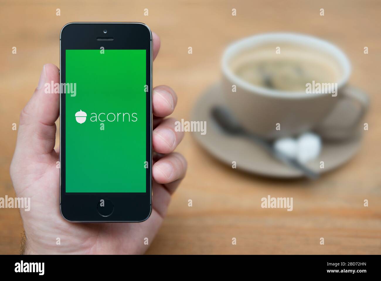 A man looks at his iPhone which displays the Acorns company logo ...