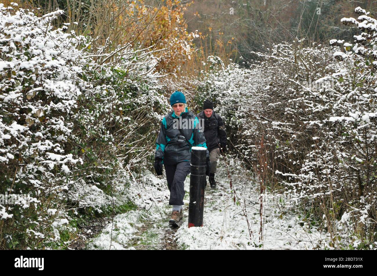 Well marked hi-res stock photography and images - Alamy