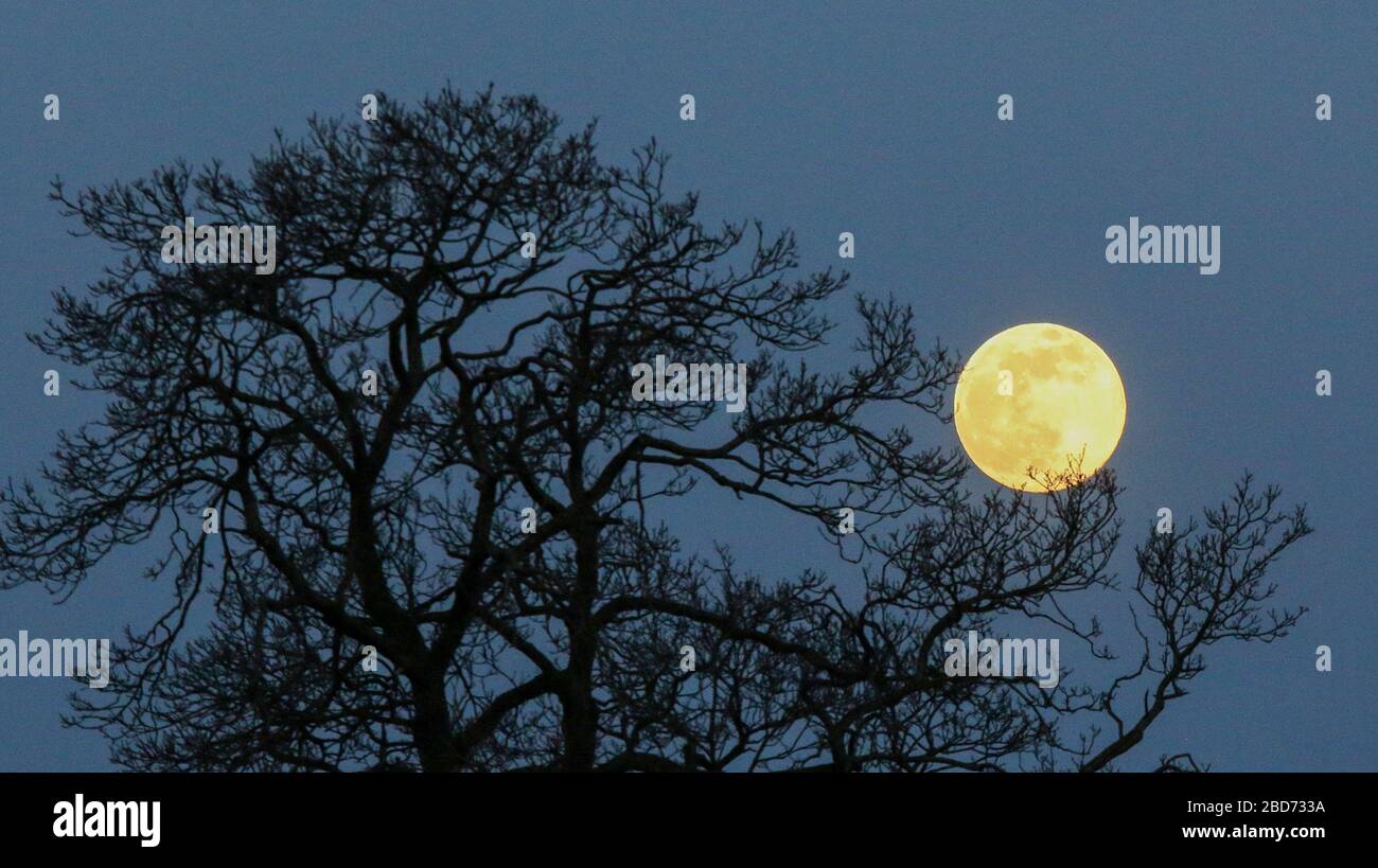 Moira, County Down, Northern Ireland. 07 Apr 2020. April full moon in ...