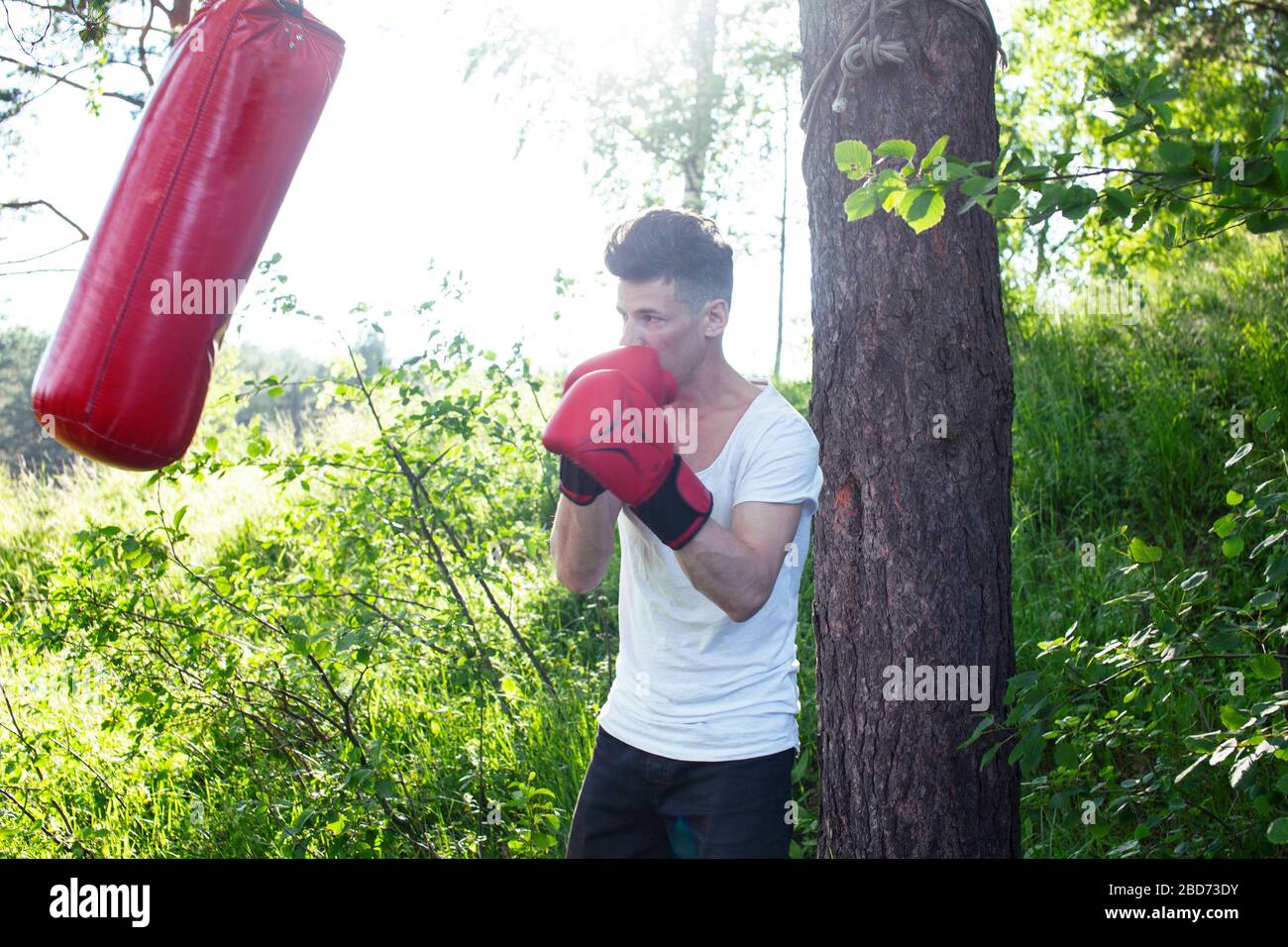 young caucasian guy boxing in gloves outside in green park, lifestyle ...