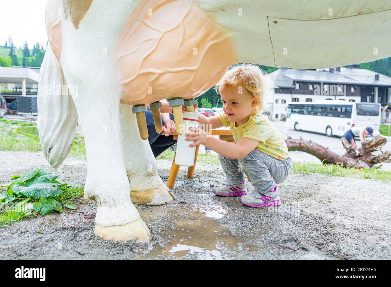 Cute blonde girl learning how to milk a cow on milking simulator Stock ...