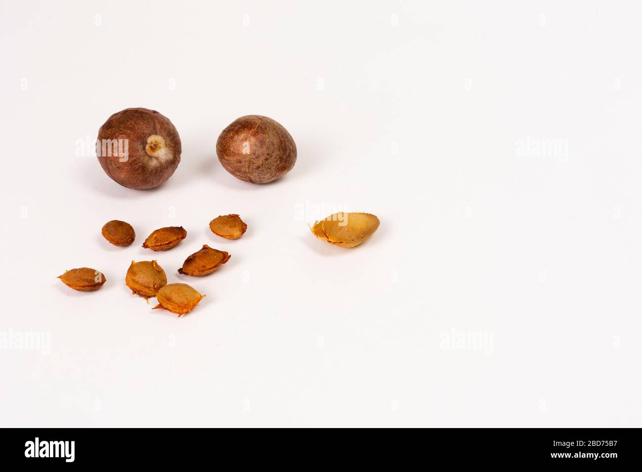 Different fruit seeds on white background Stock Photo - Alamy