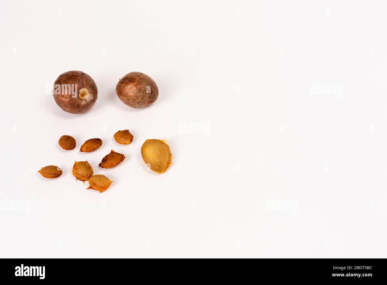 Different fruit seeds on white background Stock Photo - Alamy
