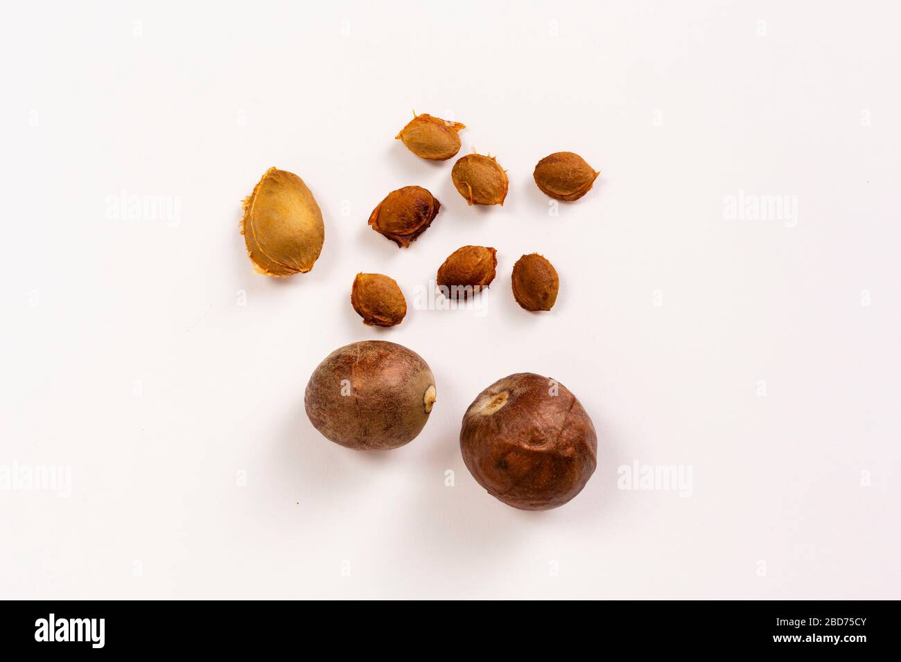 Different fruit seeds on white background Stock Photo - Alamy