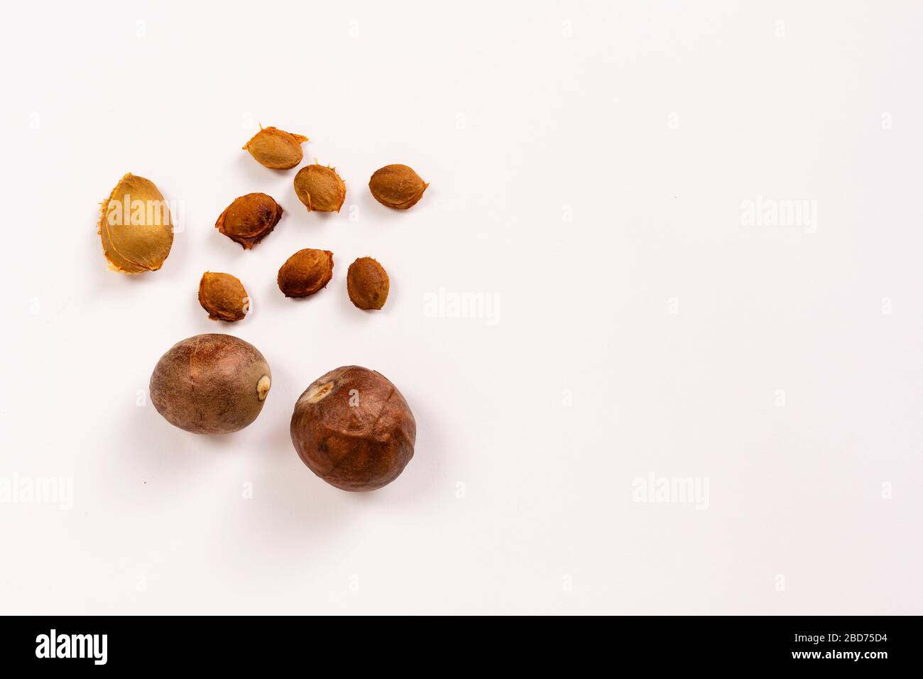 Different fruit seeds on white background Stock Photo - Alamy