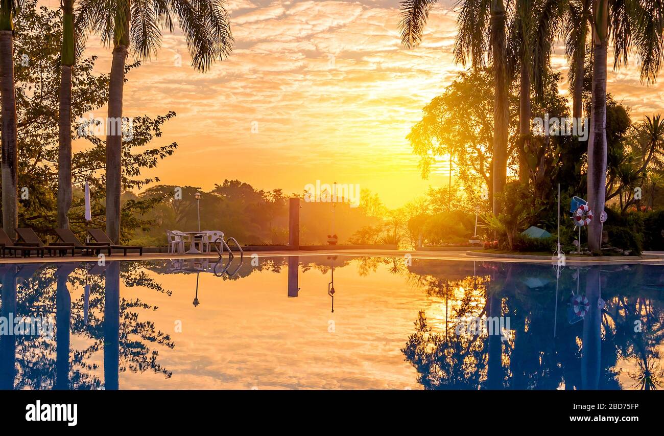 View over a pool with palm trees hi-res stock photography and images ...