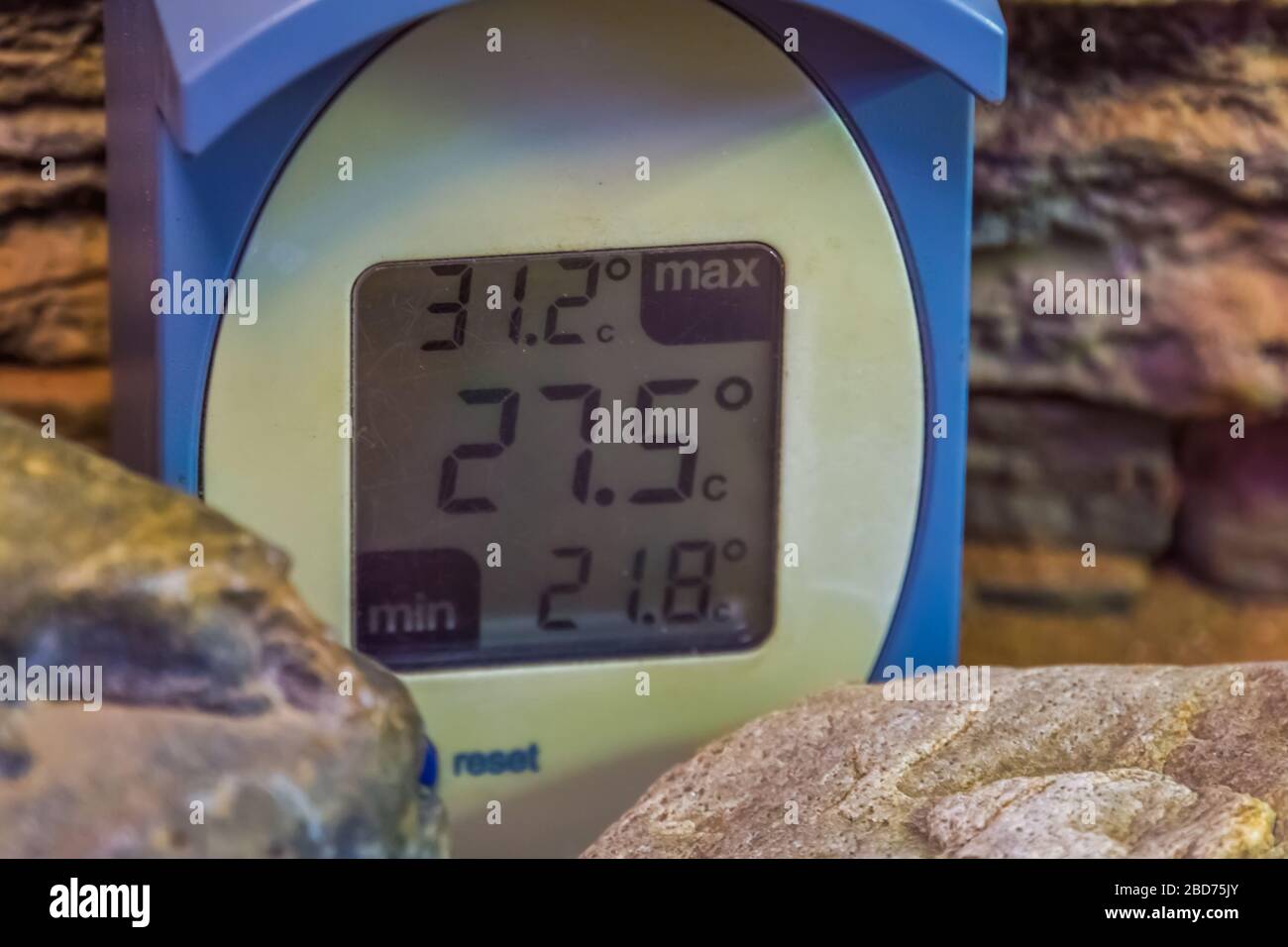 digital climate control thermometer for tropical pet keeping in a ...