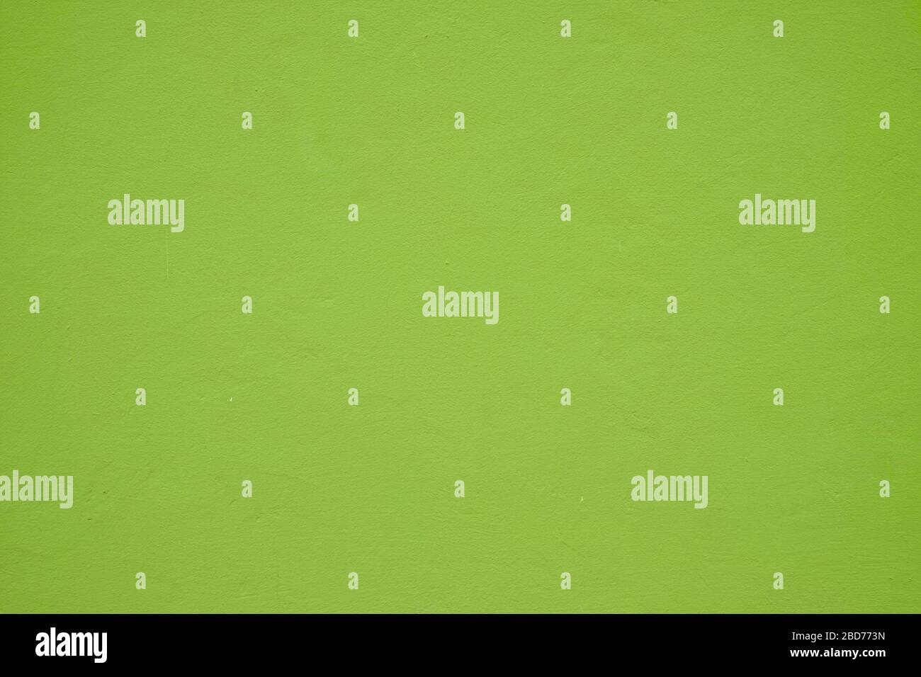 Empty pale pastel green colorful surface space for text, backdrop or ...