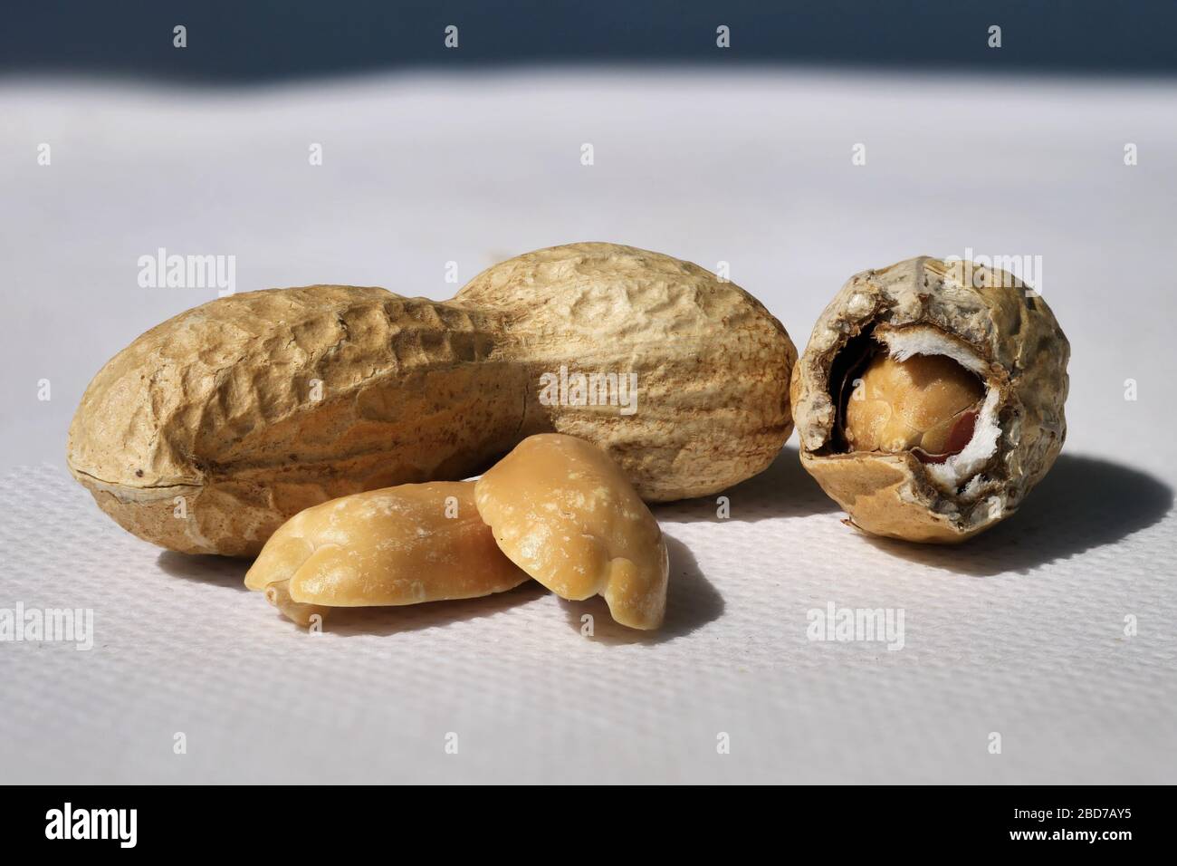 Peanuts on white background Stock Photo - Alamy