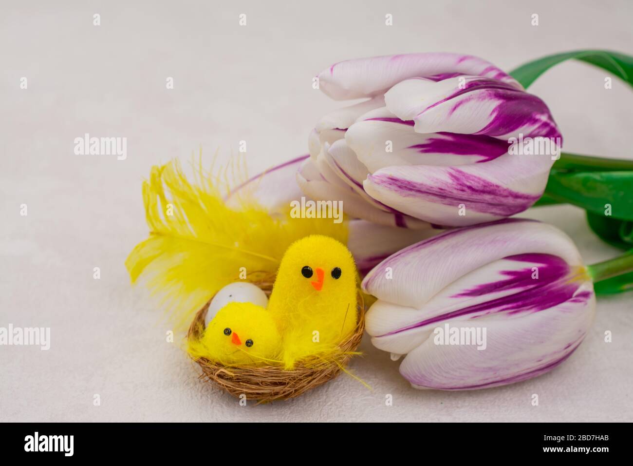 Funny easter chick hi-res stock photography and images - Alamy