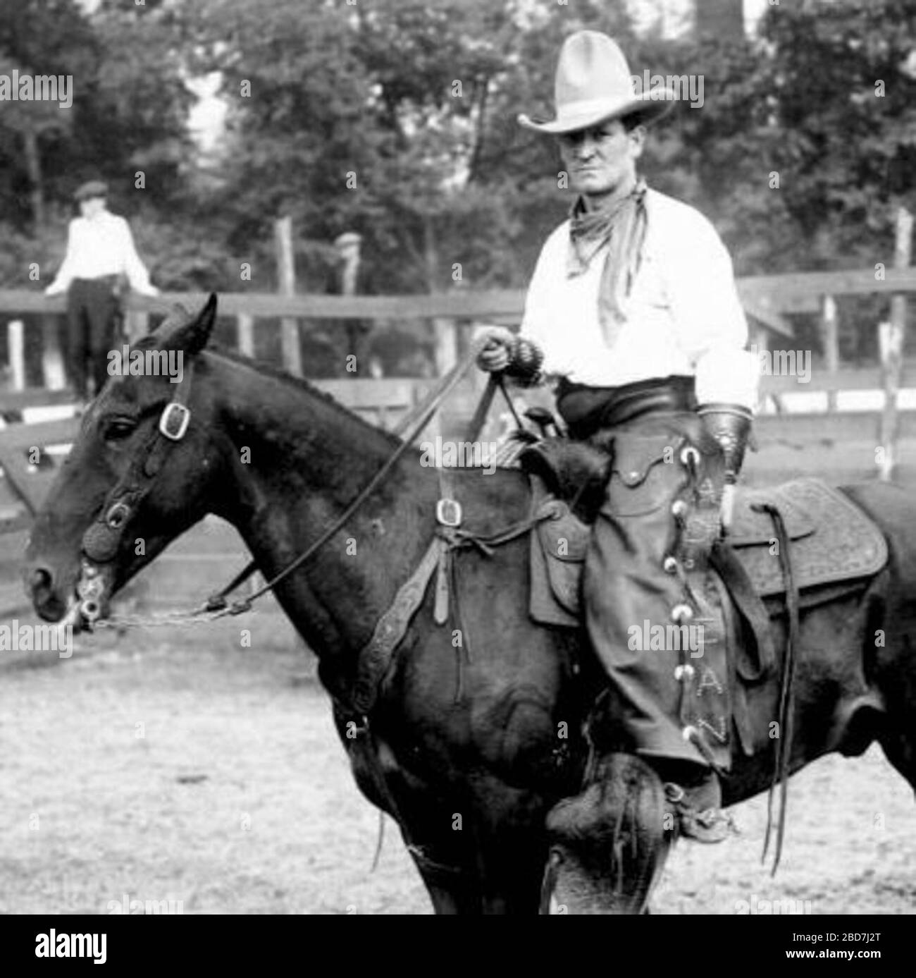 Metal studs hi-res stock photography and images - Alamy