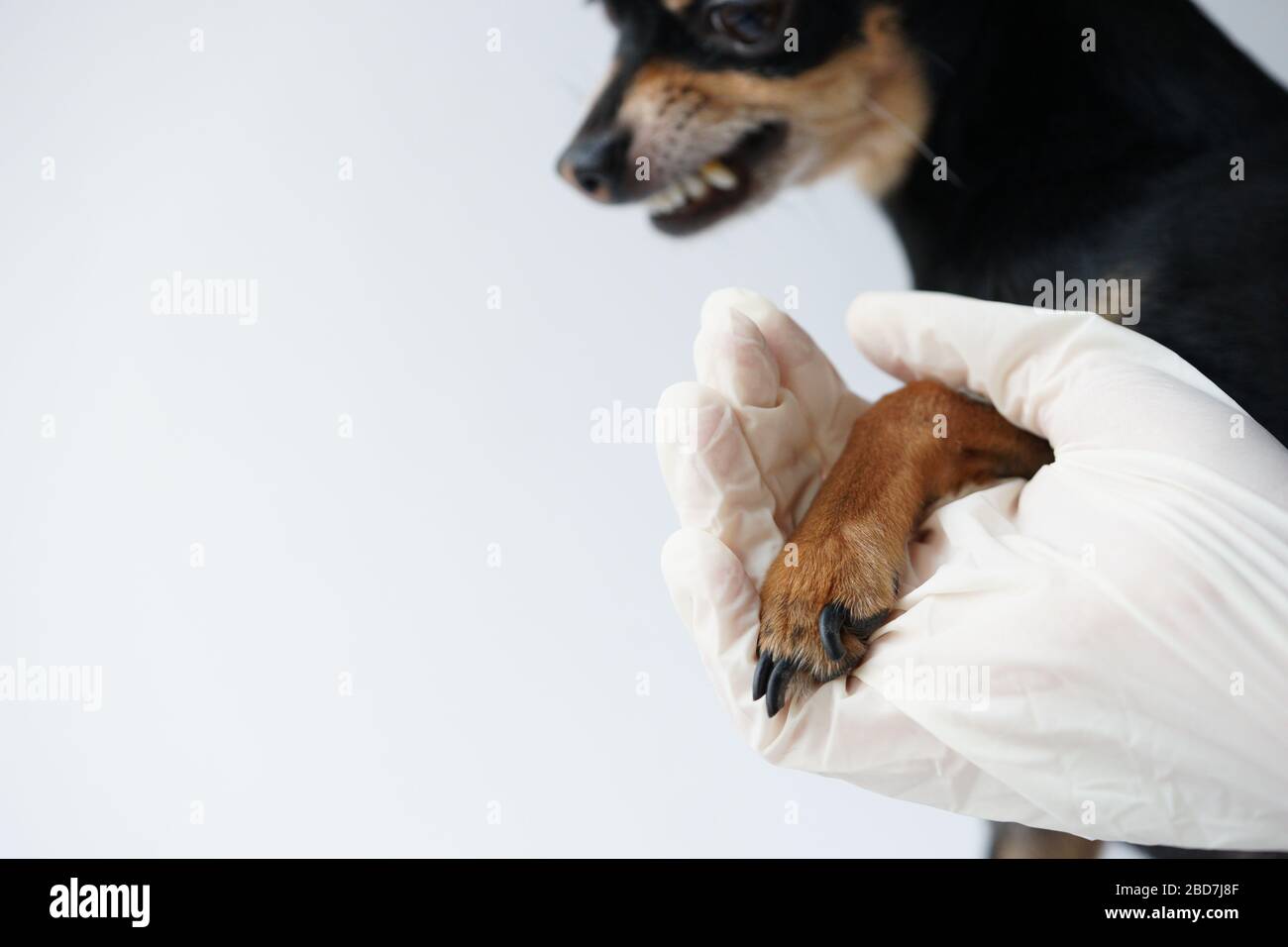 Safe manicure hi-res stock photography and images - Alamy