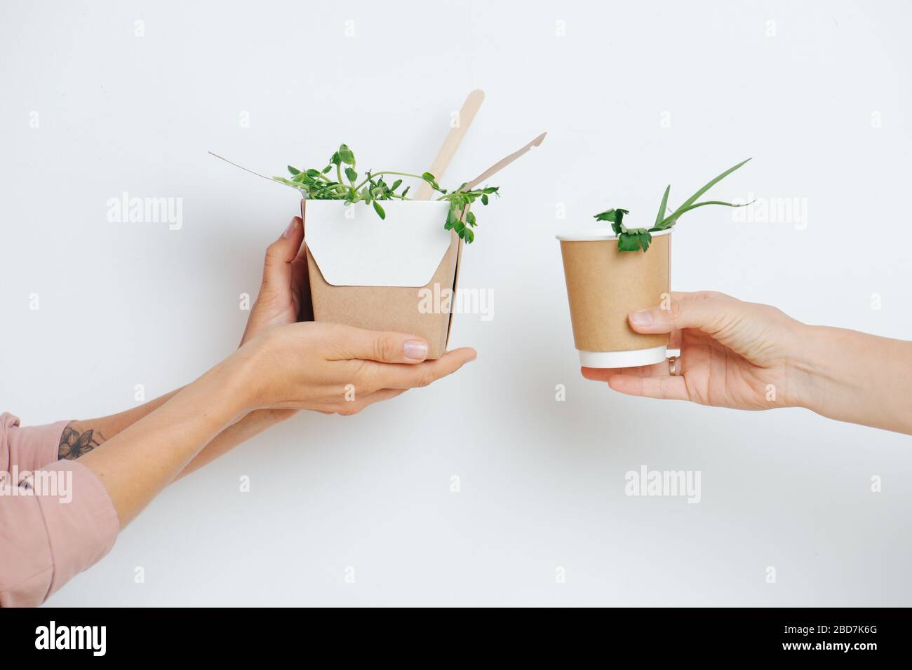 Two people presenting eco friendly containers with greens to each other ...