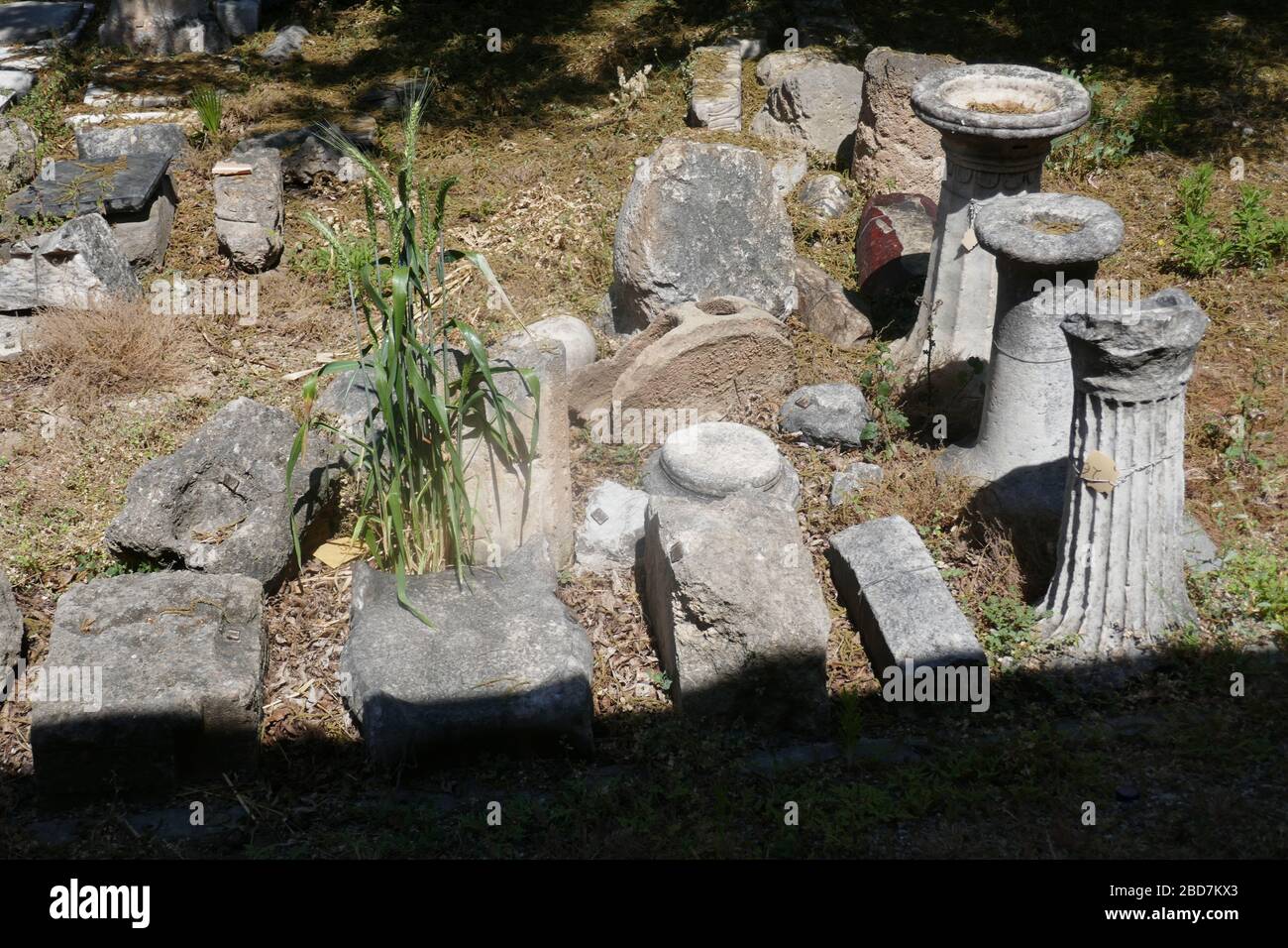 Archaeological Museum of Argos Stock Photo - Alamy