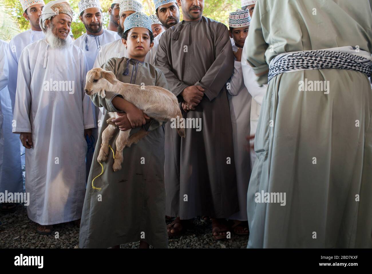 Omani men and boys appraise and haggle for livestock at the friday ...