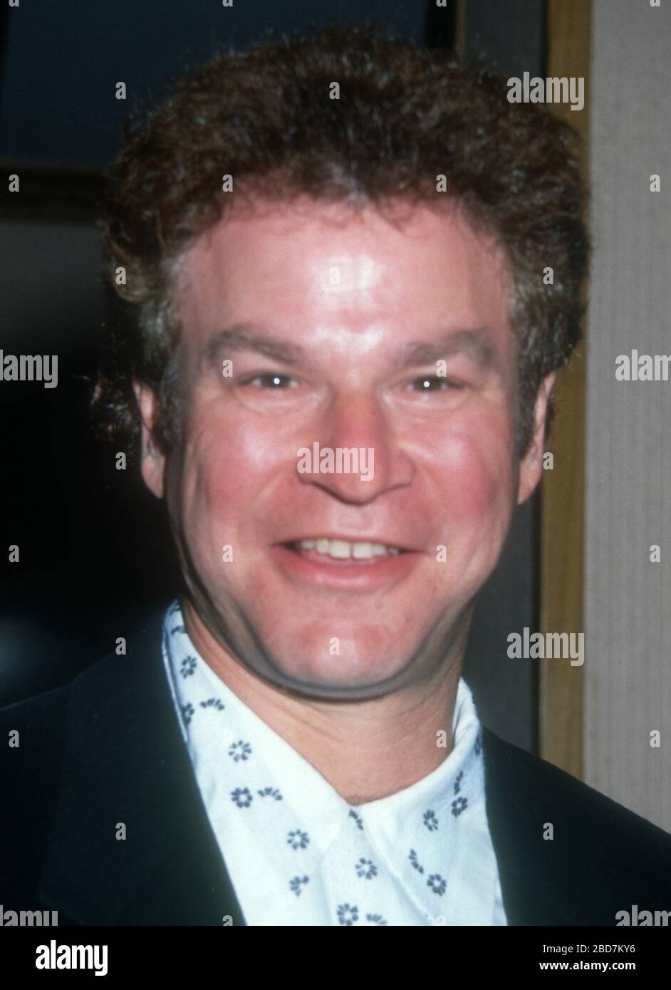 Robert Wuhl, 1991 , Photo By Michael Ferguson/PHOTOlink Stock Photo - Alamy