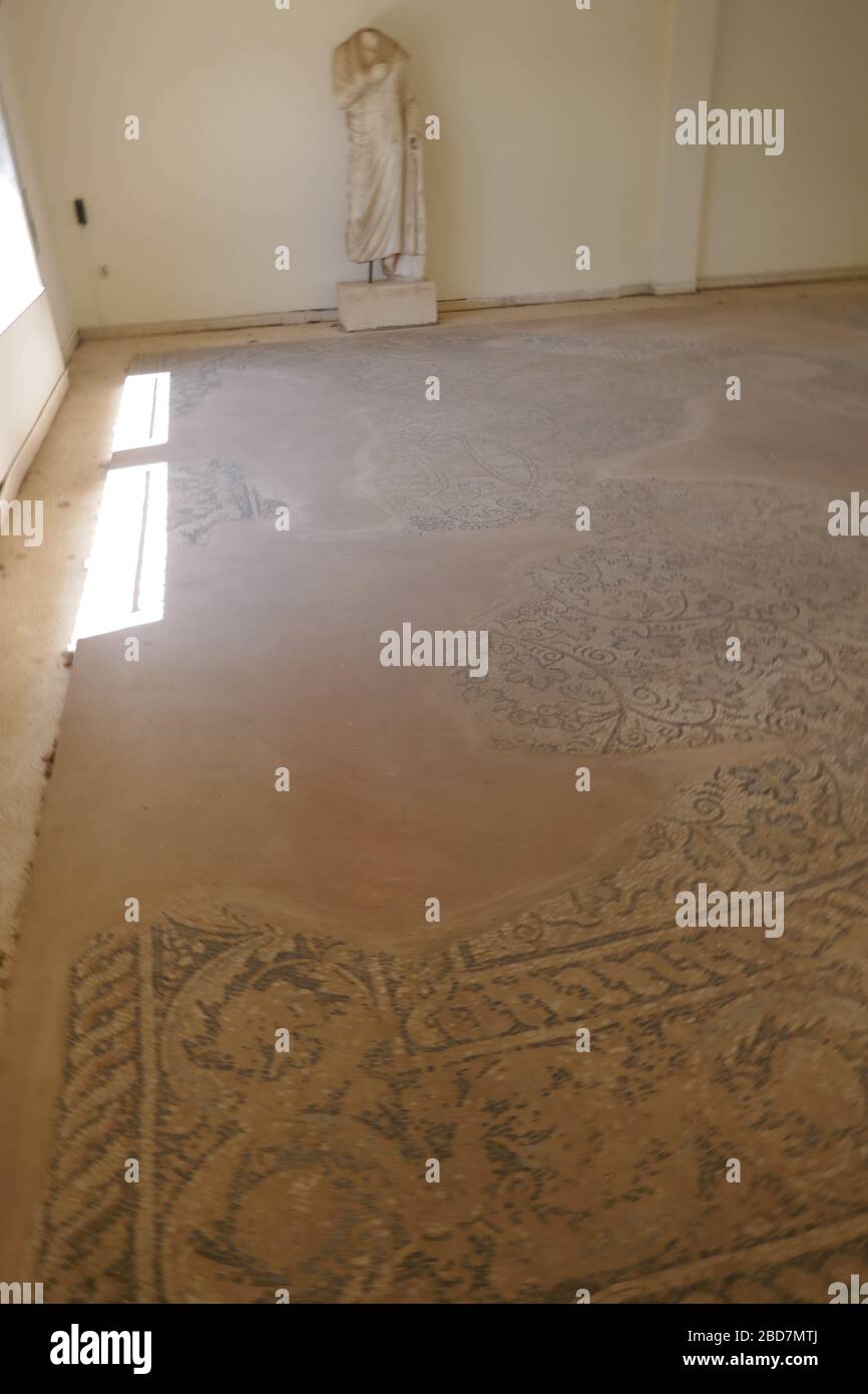 Museum of argos hi-res stock photography and images - Alamy