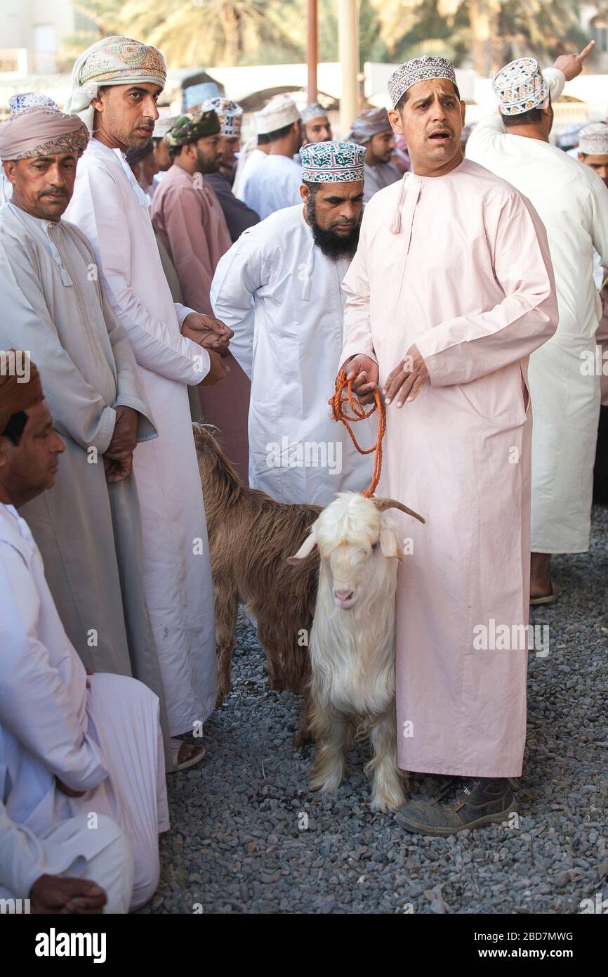 Omani men and boys appraise and haggle for livestock at the friday ...