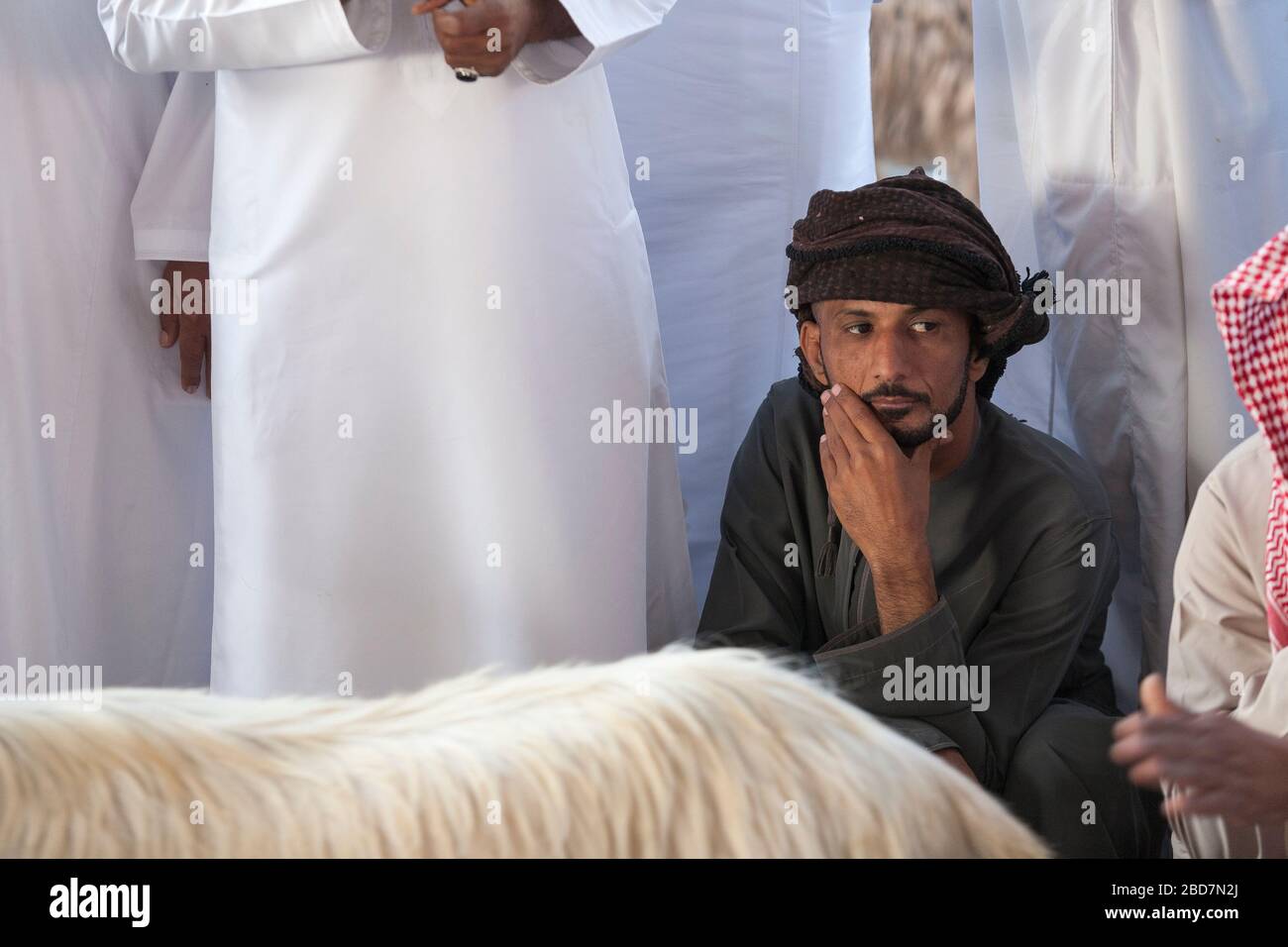 Omani men and boys appraise and haggle for livestock at the friday ...