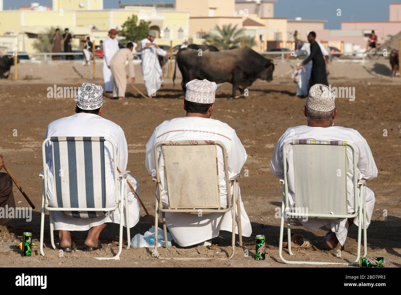 Prize fighting hi-res stock photography and images - Alamy