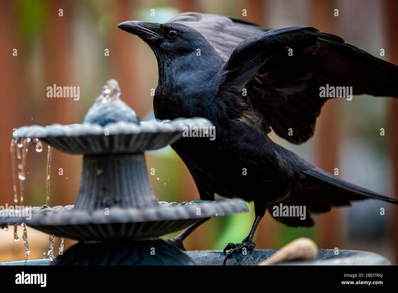 Spreading out hi-res stock photography and images - Alamy