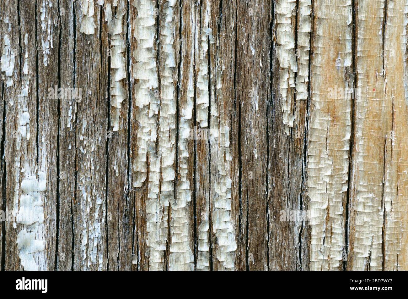Coating hi-res stock photography and images - Alamy