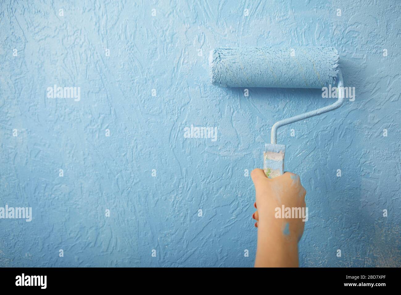 New project for home design. Female hand paints wall Stock Photo - Alamy