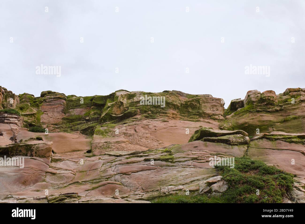 Large Mossy Rock Formation at Natural Bridges State Beach Park, Santa ...