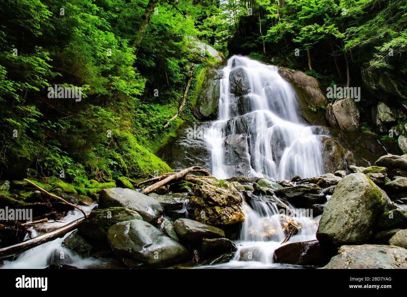 Low flow waterfall in lush hi-res stock photography and images - Alamy