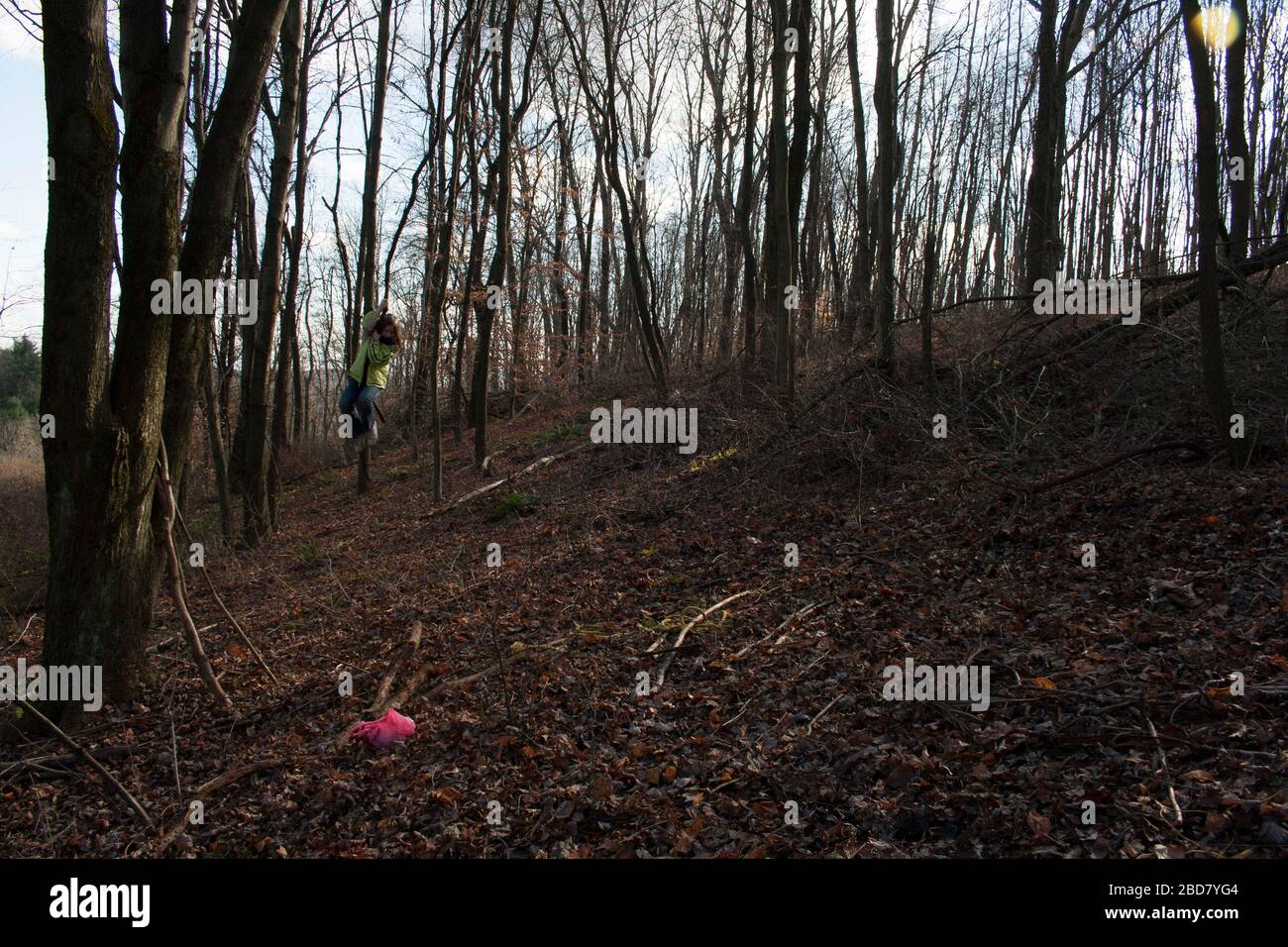Vine swing hi-res stock photography and images - Alamy