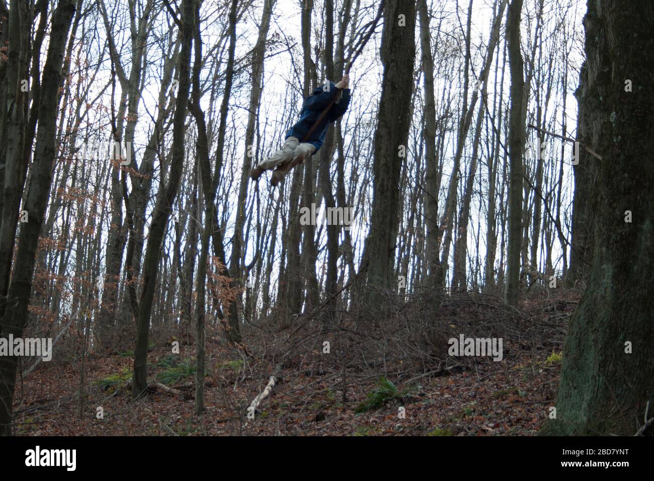 Vine swing hi-res stock photography and images - Alamy