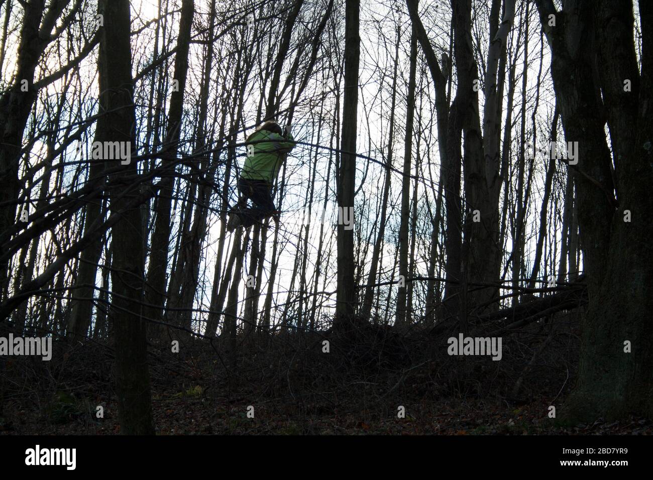 Vine swing hi-res stock photography and images - Alamy