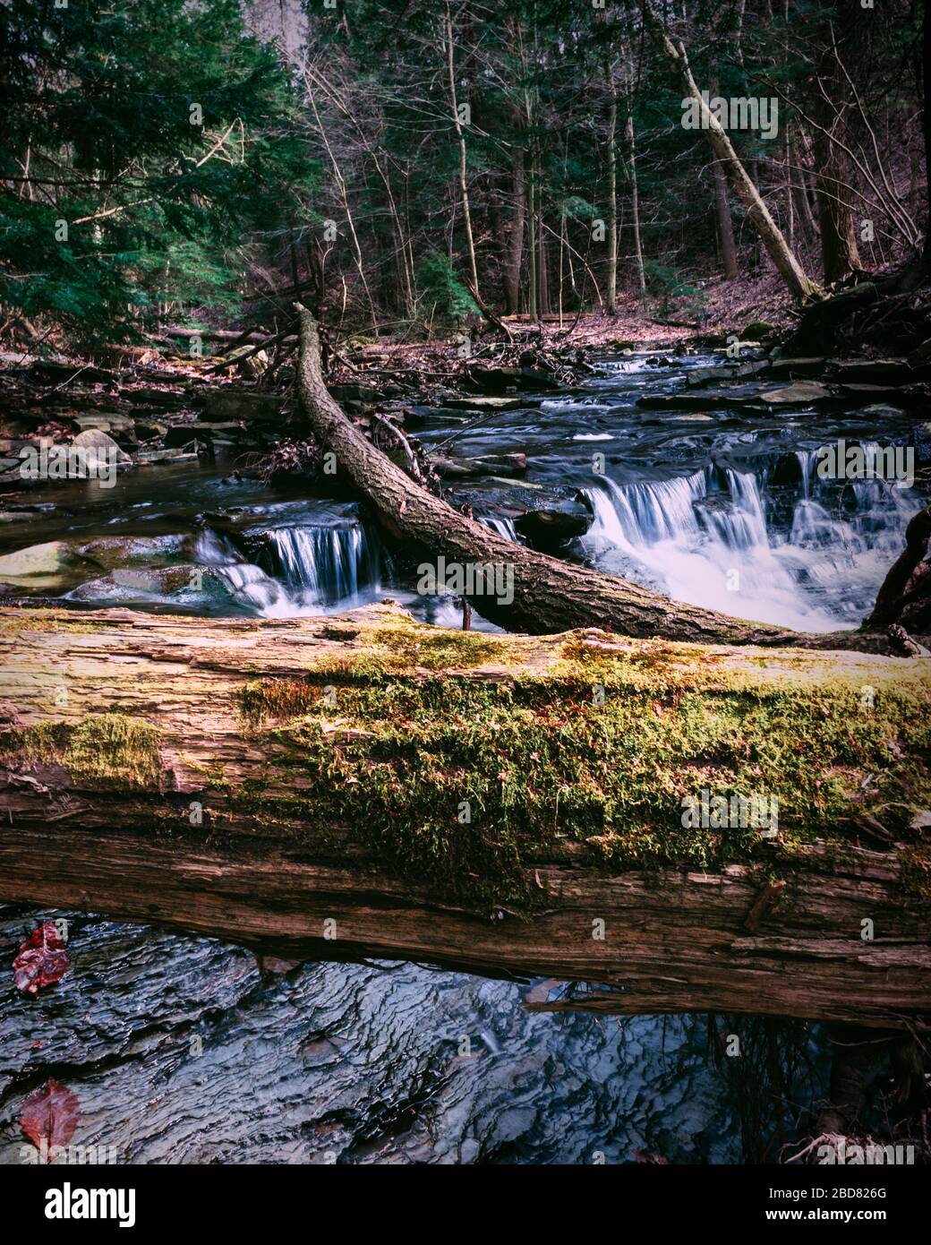 Small river waterfall hi-res stock photography and images - Alamy
