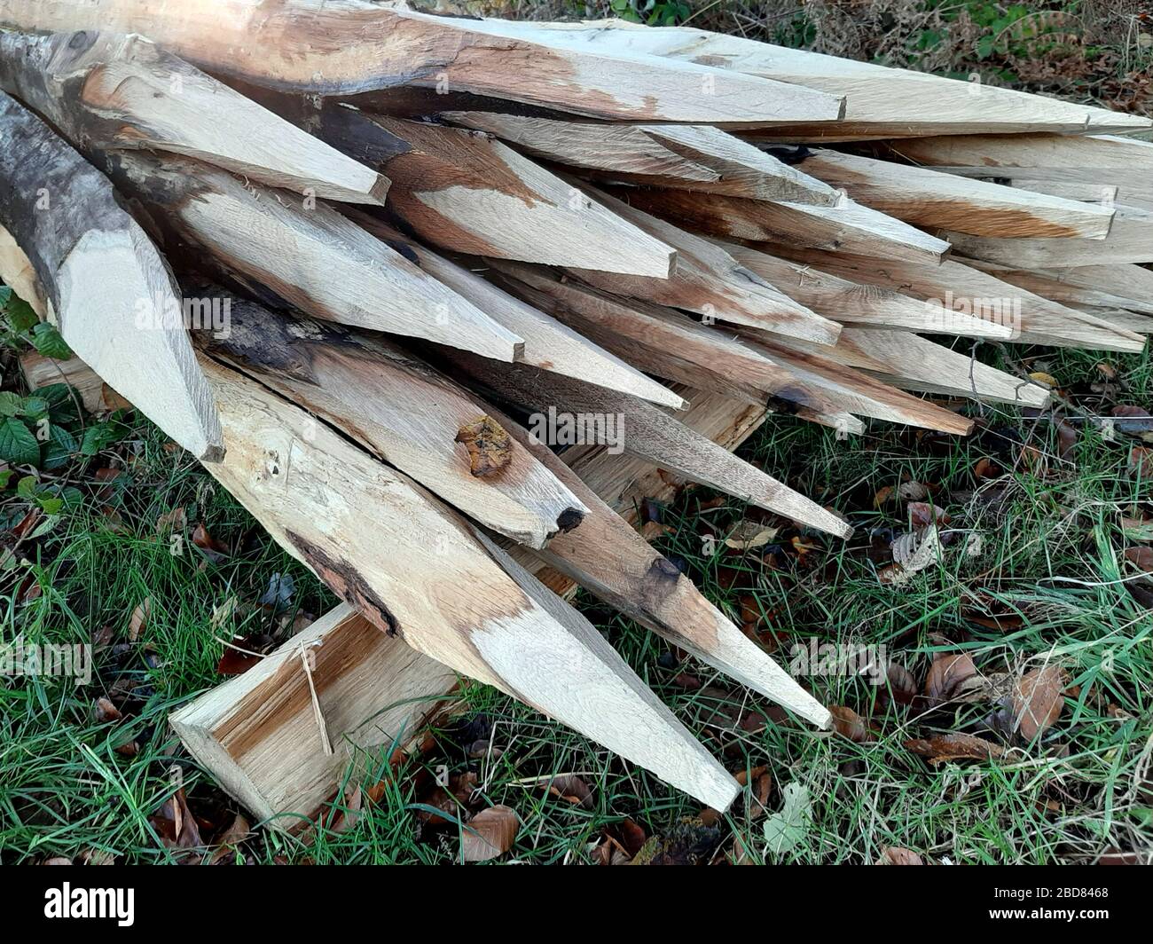 Sharpened fence hi-res stock photography and images - Alamy